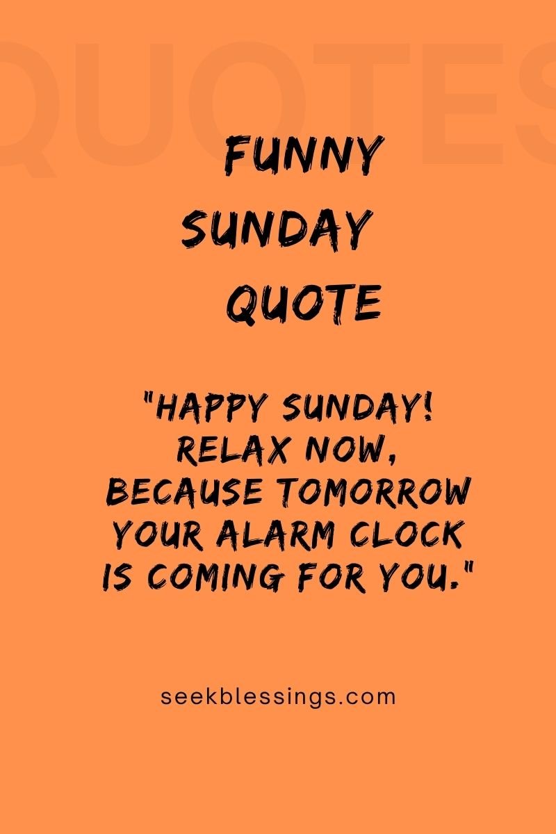 160+ Funny Quotes to Make You Laugh- seekblessings.com