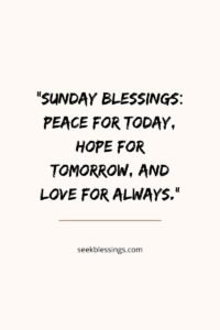 40+ Sunday Quotes of the Day to Rest, Reflect & Recharge for the Week Ahead