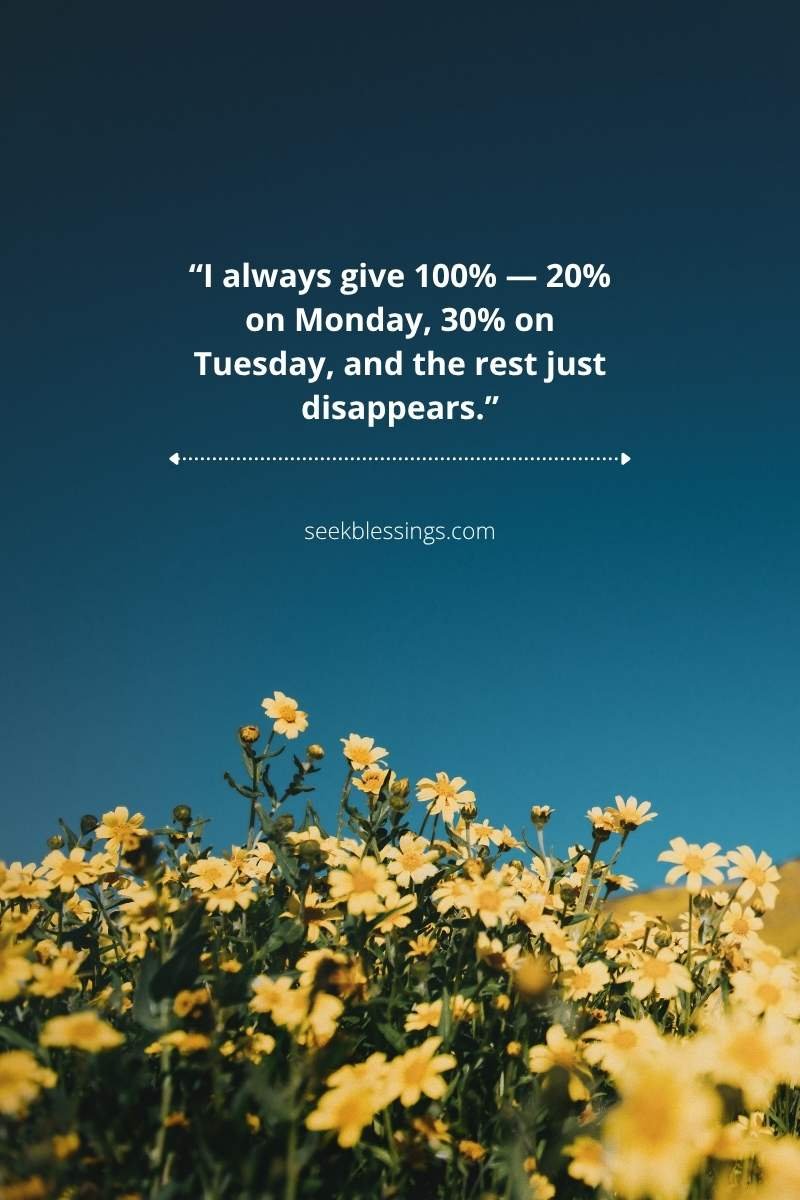 40+ Funny Motivational Quotes to Laugh Your Way to Success